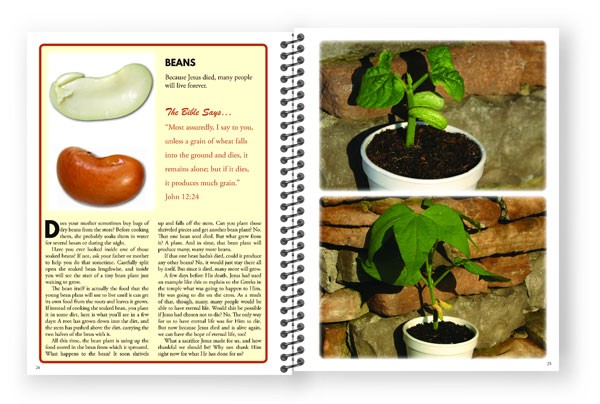 Nature Corner - Volume 10 - Ministry Helps UK